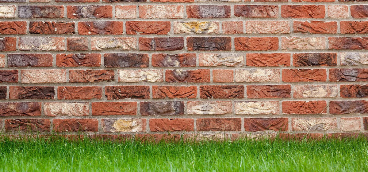 Ile waży cegła i pół cegły? Poznaj wagę i wymiary cegieł
